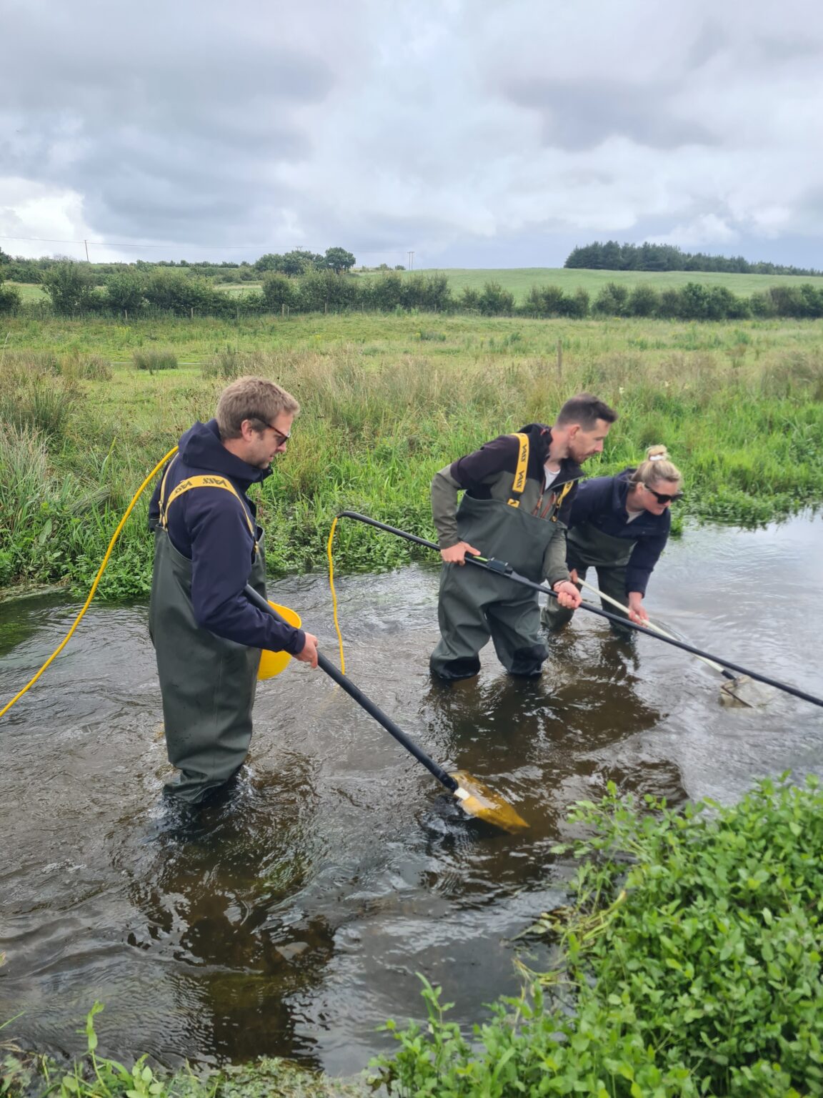 North Norfolk: Wilder, wetter, better for nature - Norfolk Coast